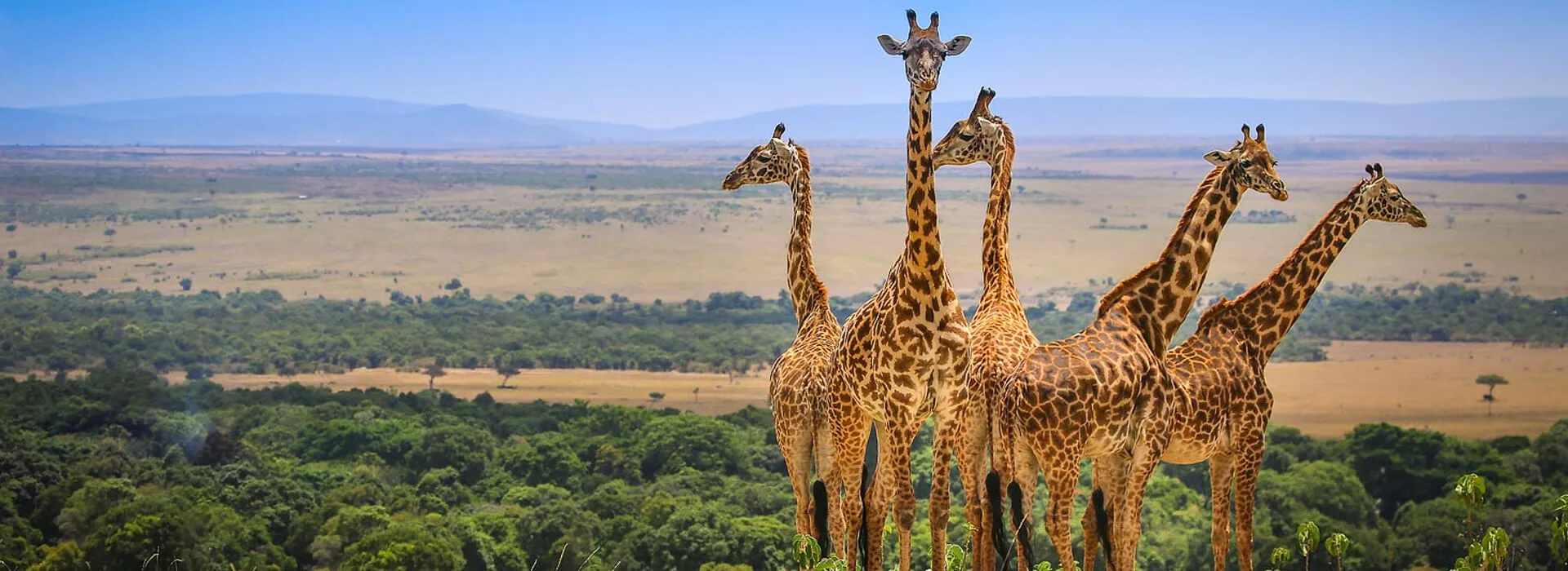 Travelife Certification – what is it and what does it mean? - Adventure ...